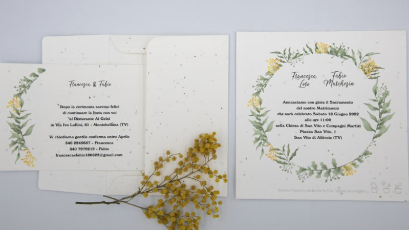 Grupo Posta Is Redefining Print with Seed Paper and Sustainability ...