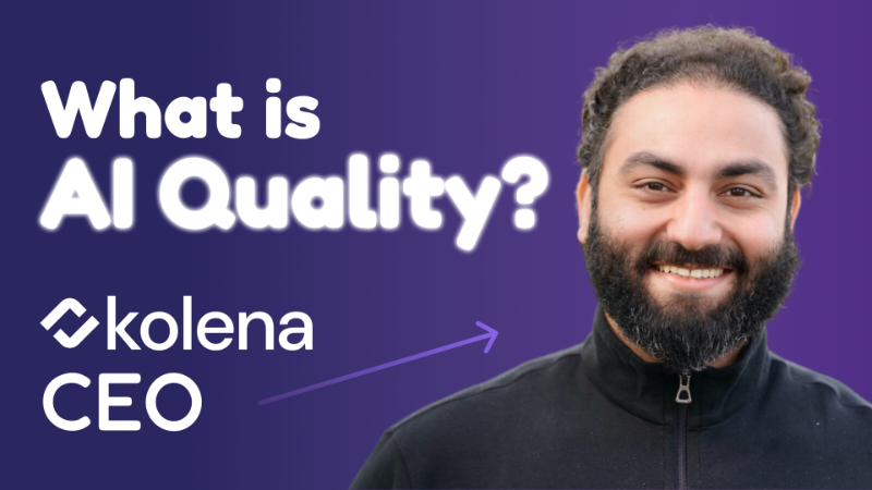 What is AI Quality? - Video | MLOps Community