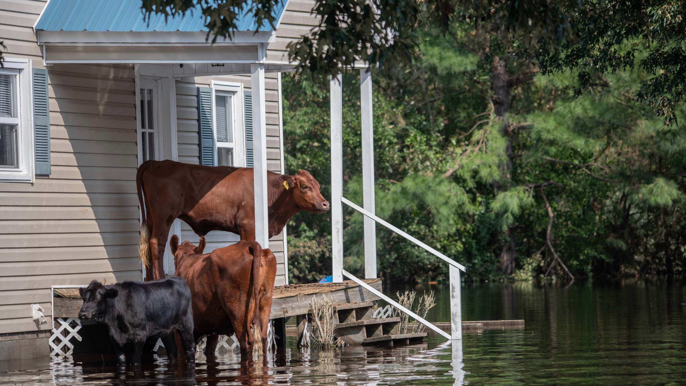 Safety tips for when returning home after evacuating - Blog | Nextdoor ...