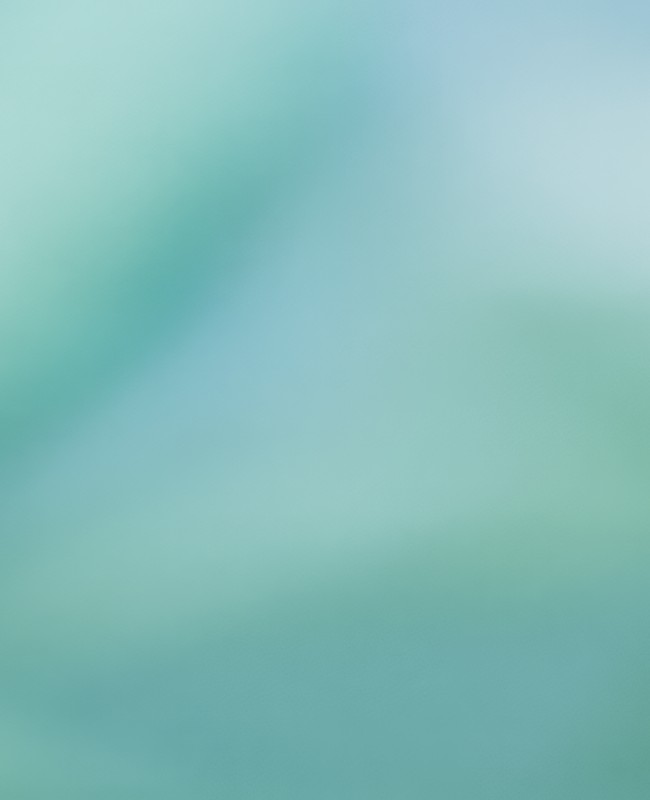 Government (United States) - Community | OpenAI Academy